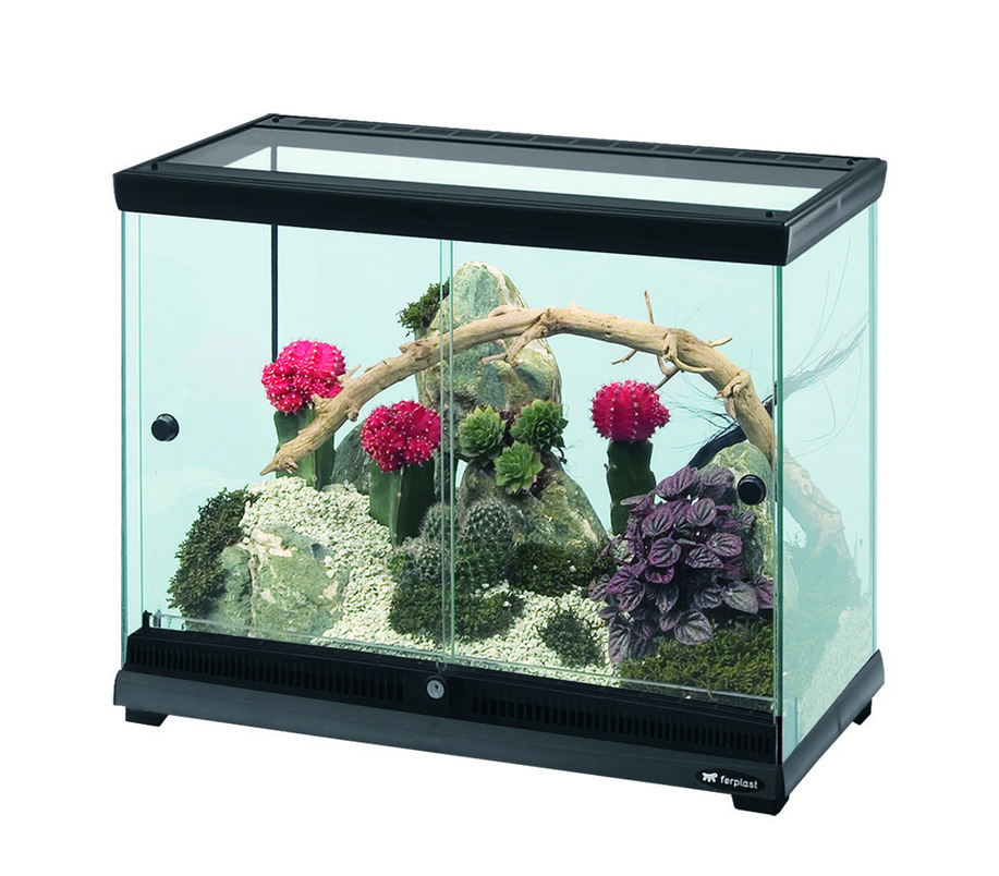 Ferplast Terārijs Explora 50 melns 52 x 27 x h 41 cm - 60 L | Zoocentrs.lv