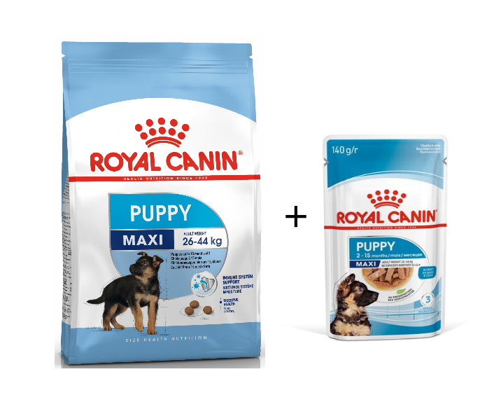Royal Canin SHN Maxi Puppy 15 kg sausā barība suņiem | ZooCentrs.lv